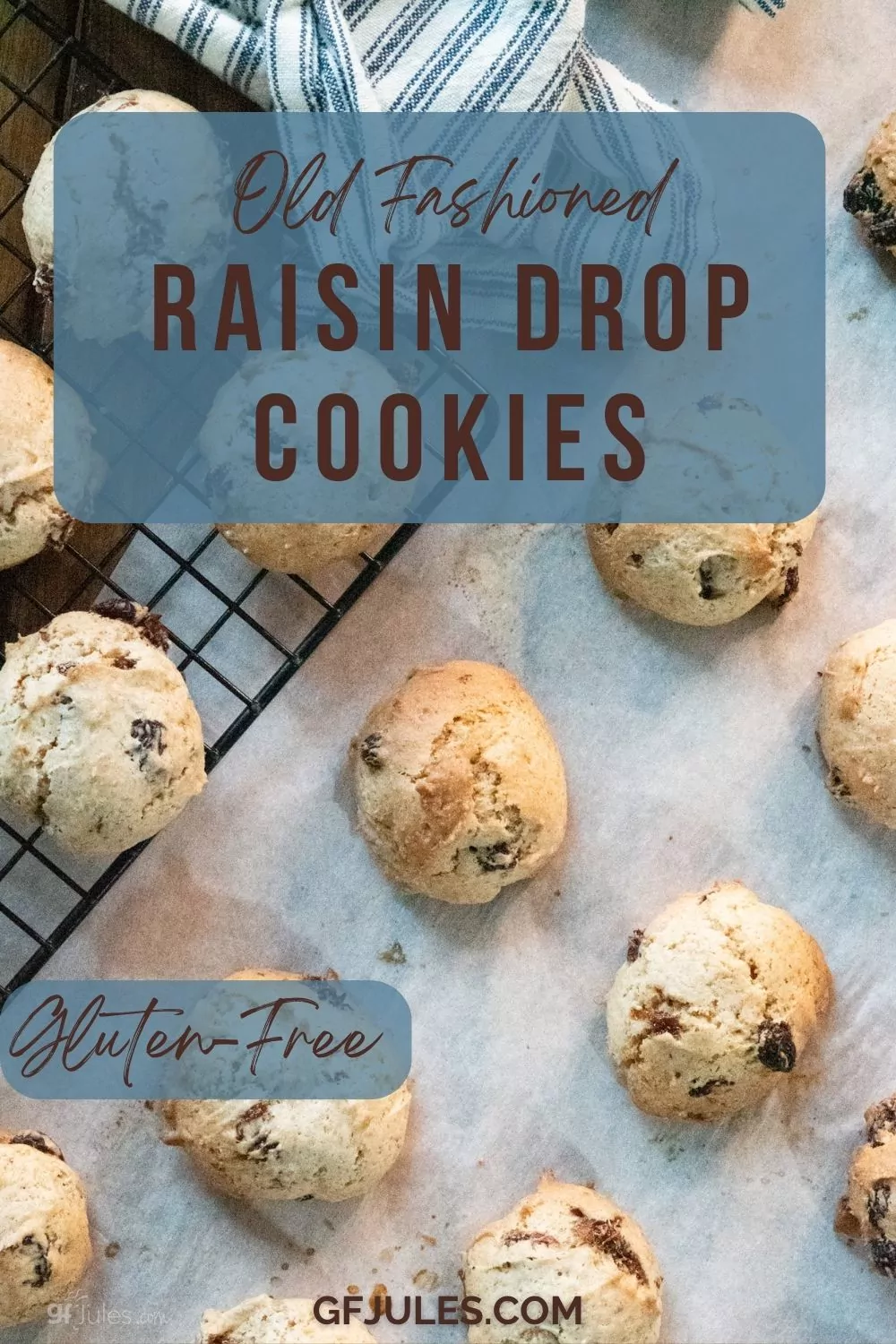Old Fashioned Raisin Drop Cookies - gfJules #1 GF recipe blog